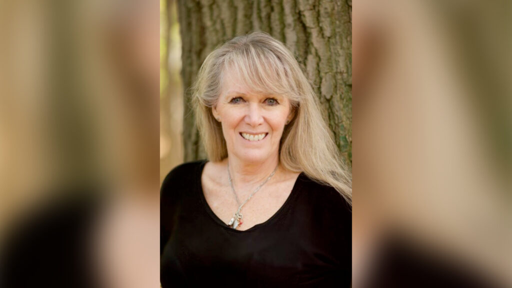 Stephanie Simpson McLellan - Book Pipeline